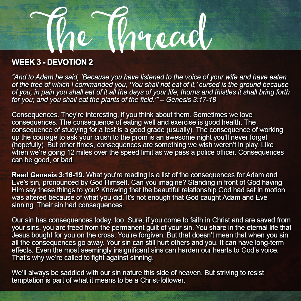 The Thread Devotion - Week 3 Devotion 2