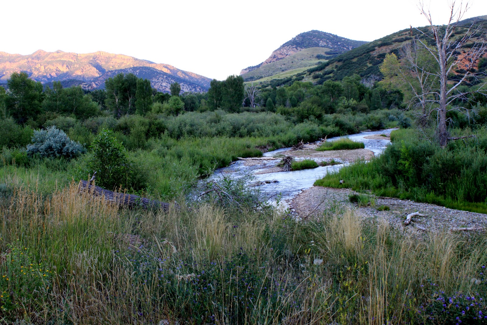 River Tales: Diamond Fork Utah