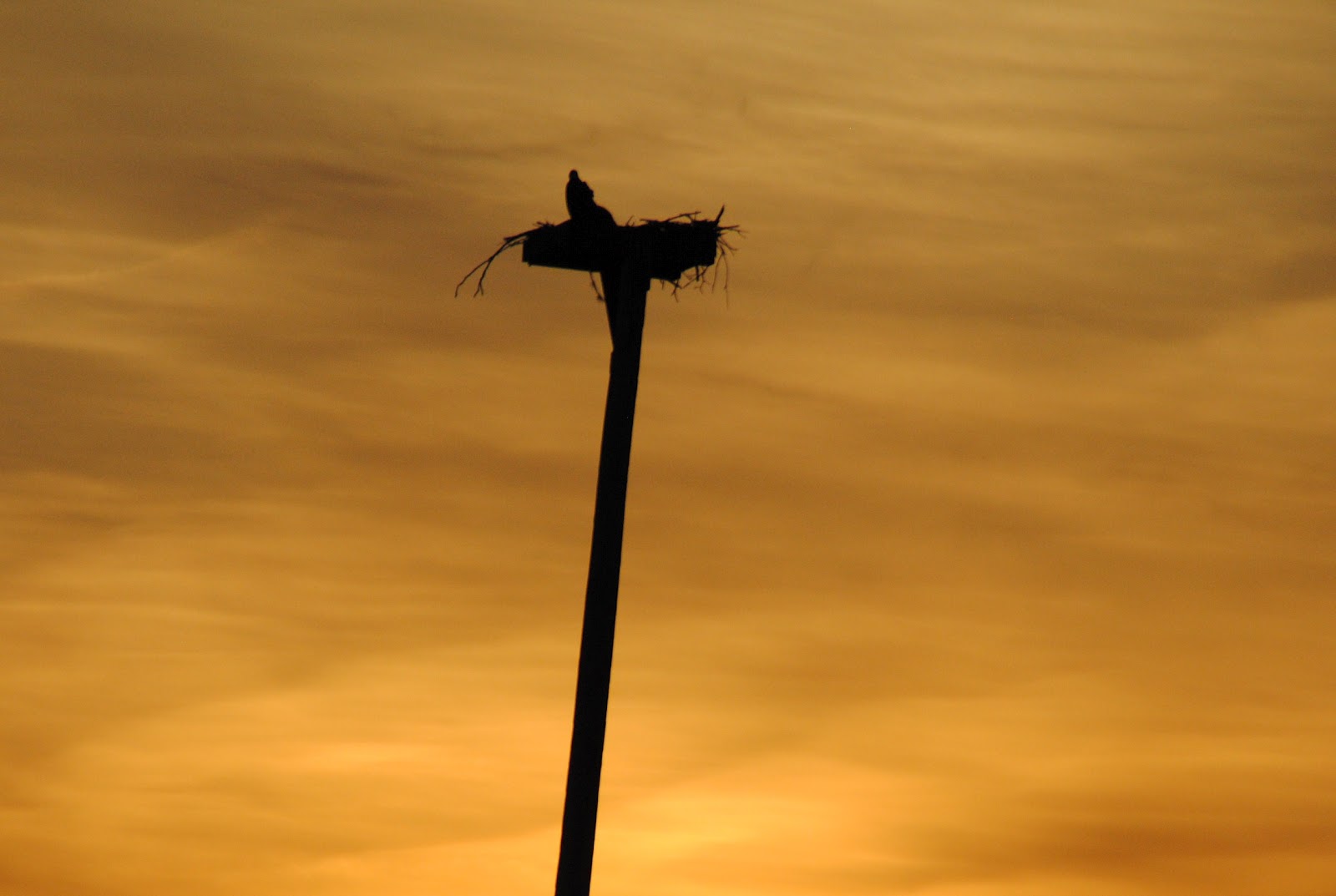 Life According to Jan and Jer: Gallery