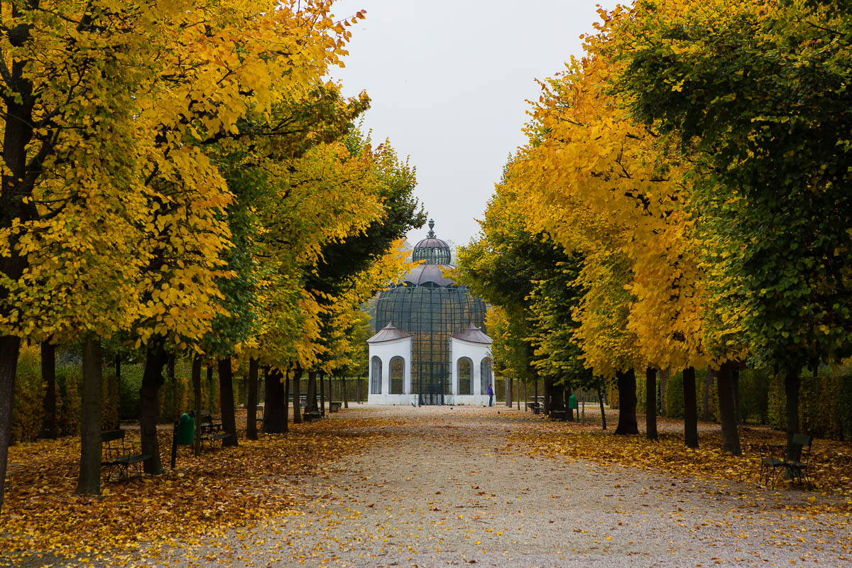 PhotoTrip: Vienna in the Autumn