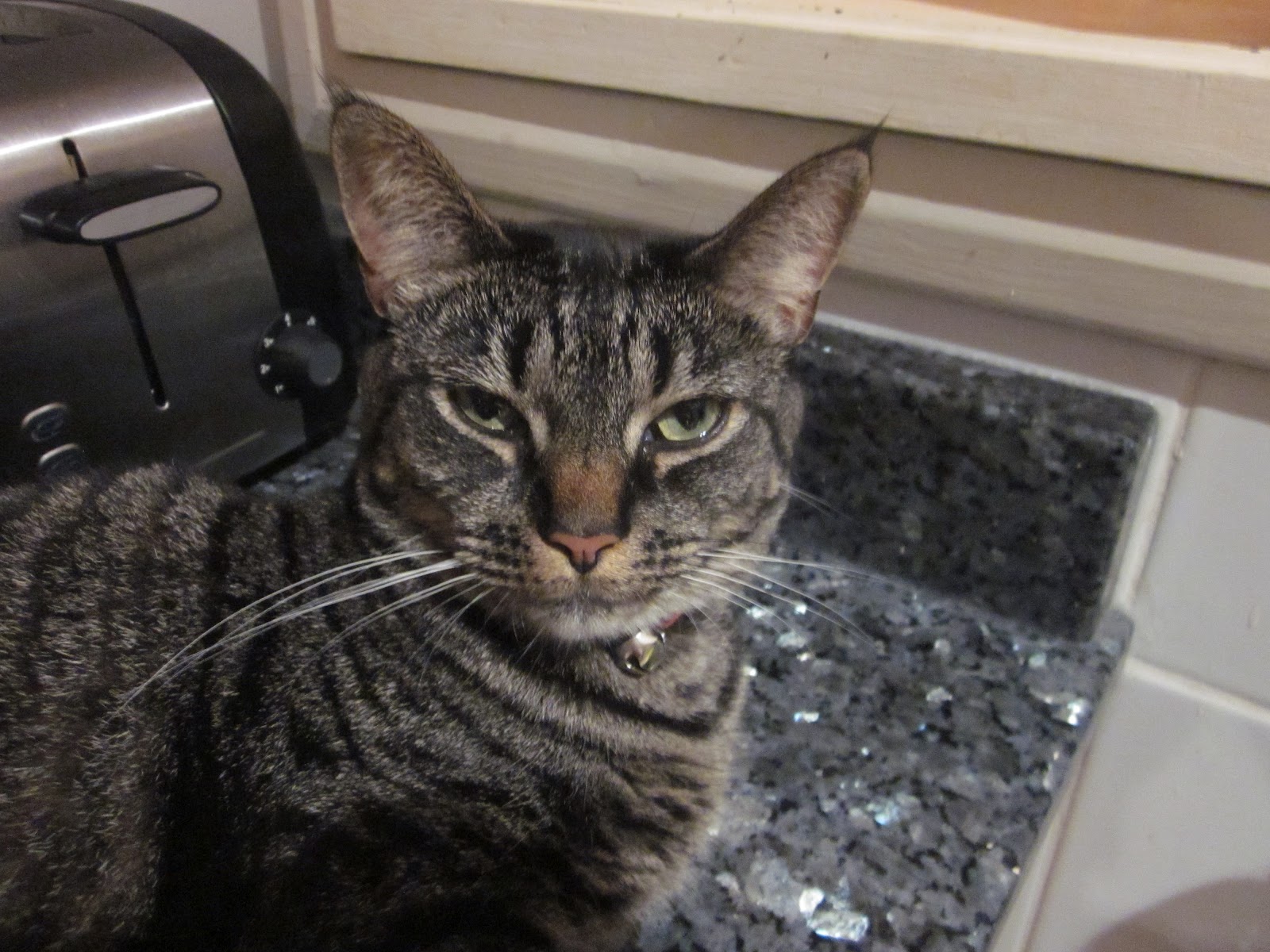 ROB SILVER: September 2012