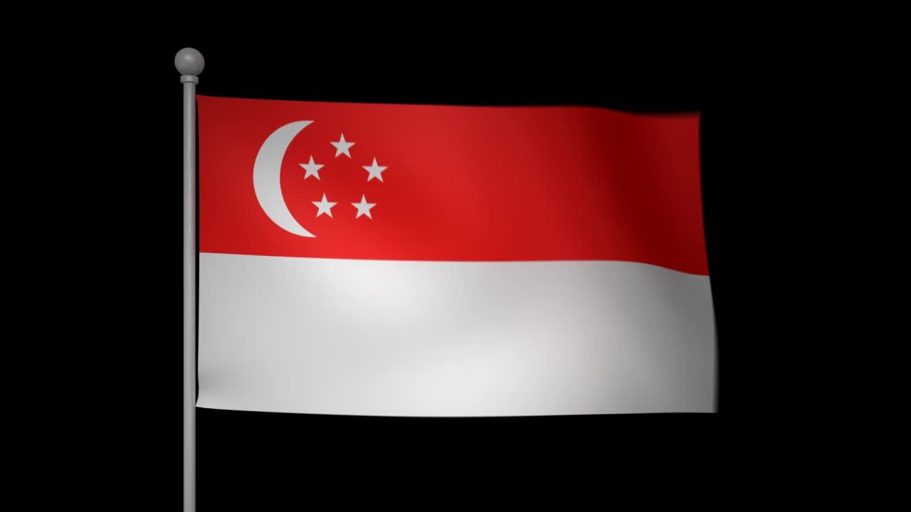 Singapore Flag Pictures