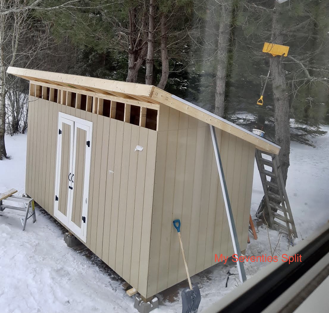 My Seventies Split: Storage Shed - Roof Shingles Installed