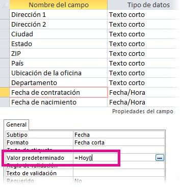 Propiedades de Campos en access.