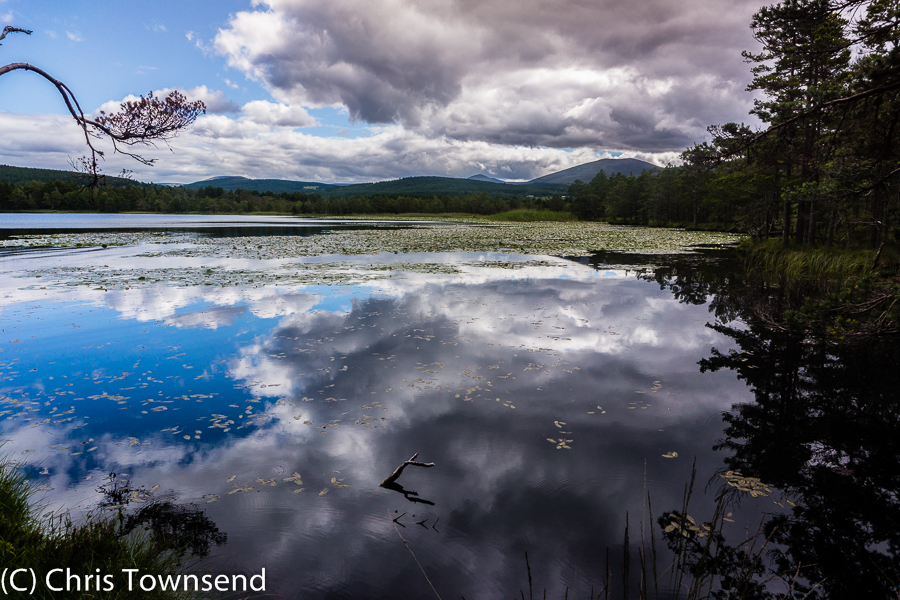 Chris Townsend Outdoors: Loch Garten & Abernethy Forest