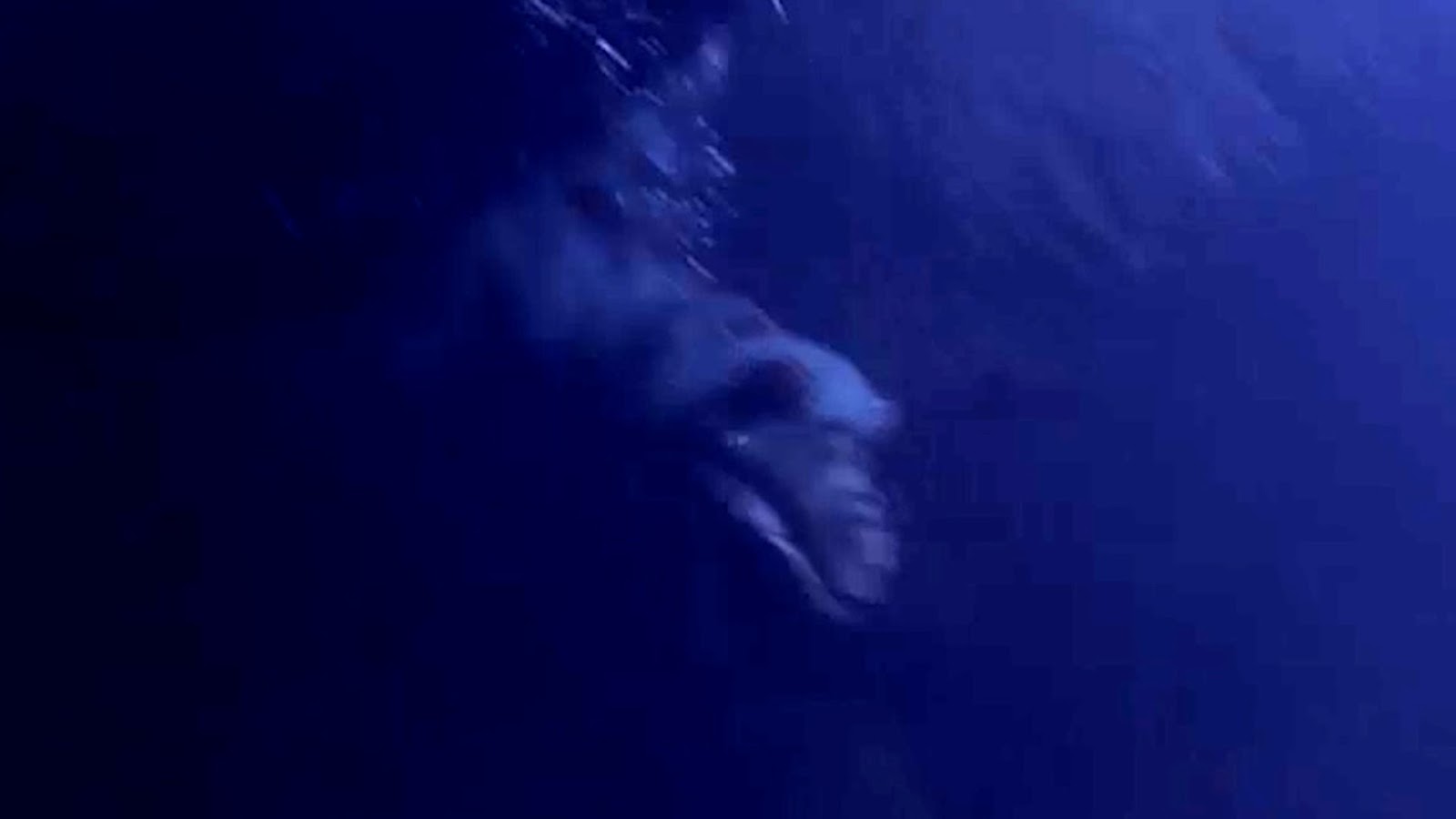 Scary Lake Monster Attacks Woman - Breakdown