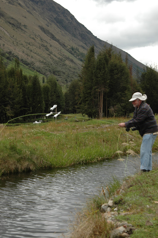We moved from Chicago to Cuenca