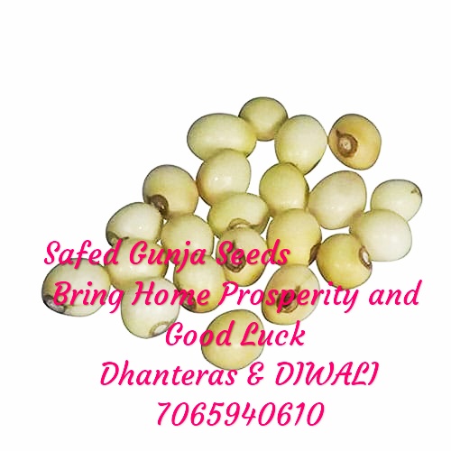 Rosary Pea Safed Gunja is Costliest Seed 7065940610