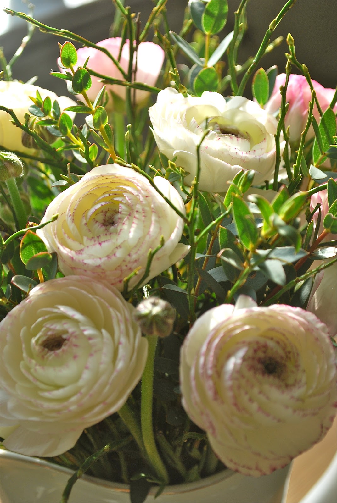 Fröken Gröns Blogg: Ranunkler