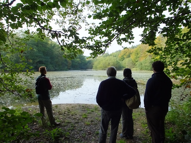 West Wight Sangha: Our Visit to Cittaviveka, Chithurst Buddhist Monastery