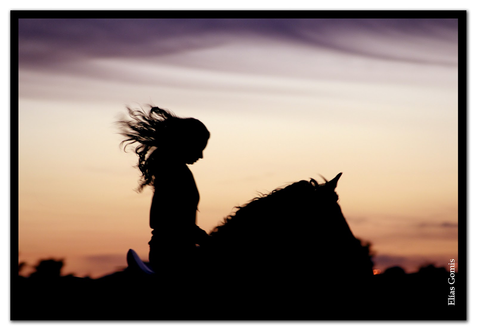 Hoy no sé ni quién soy: CARTA DEL JEFE INDIO SEATTLE