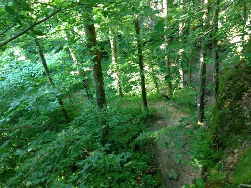 Jake & Susan's Wild Indiana: Hemlock Cliffs in Hoosier National Forest