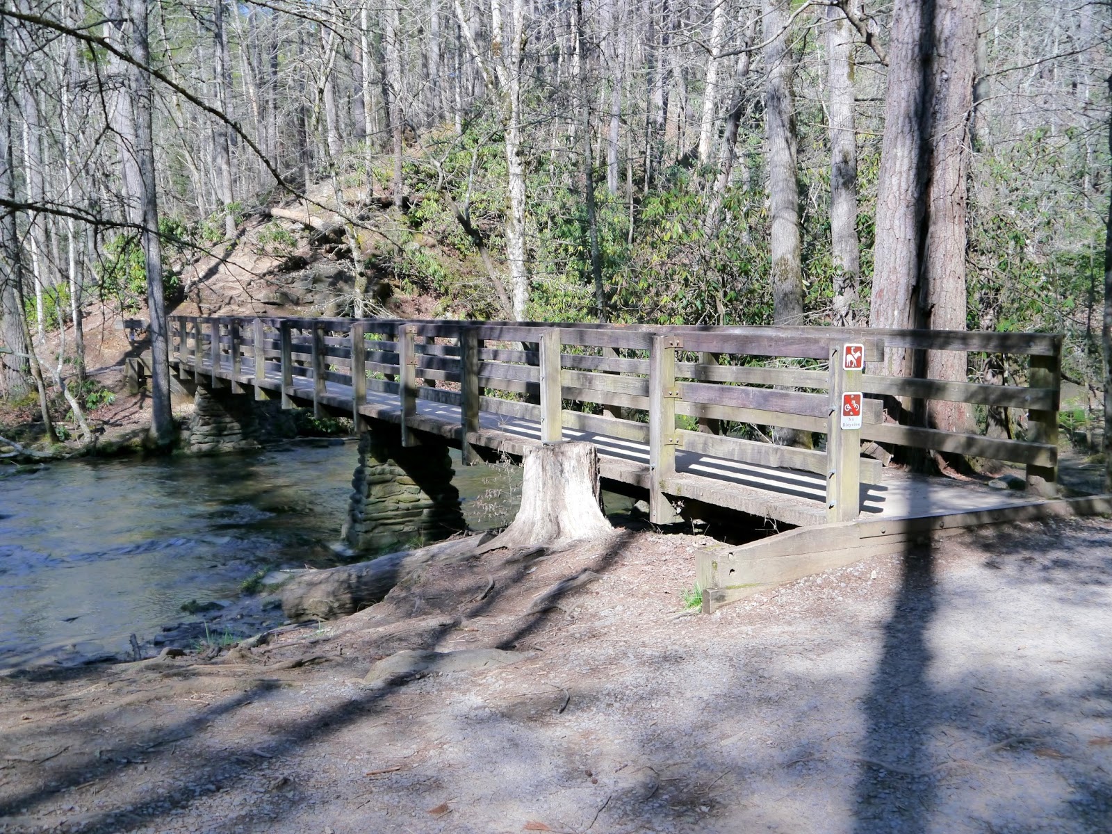 American Travel Journal: Abrams Falls Trail - Great Smoky Mountains ...