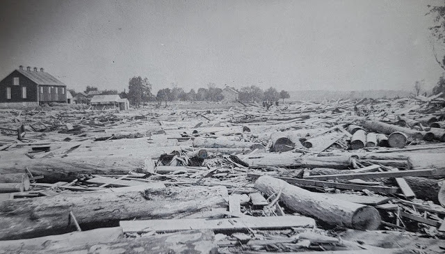 Valley Girl Views: The Lumber Boom In Williamsport