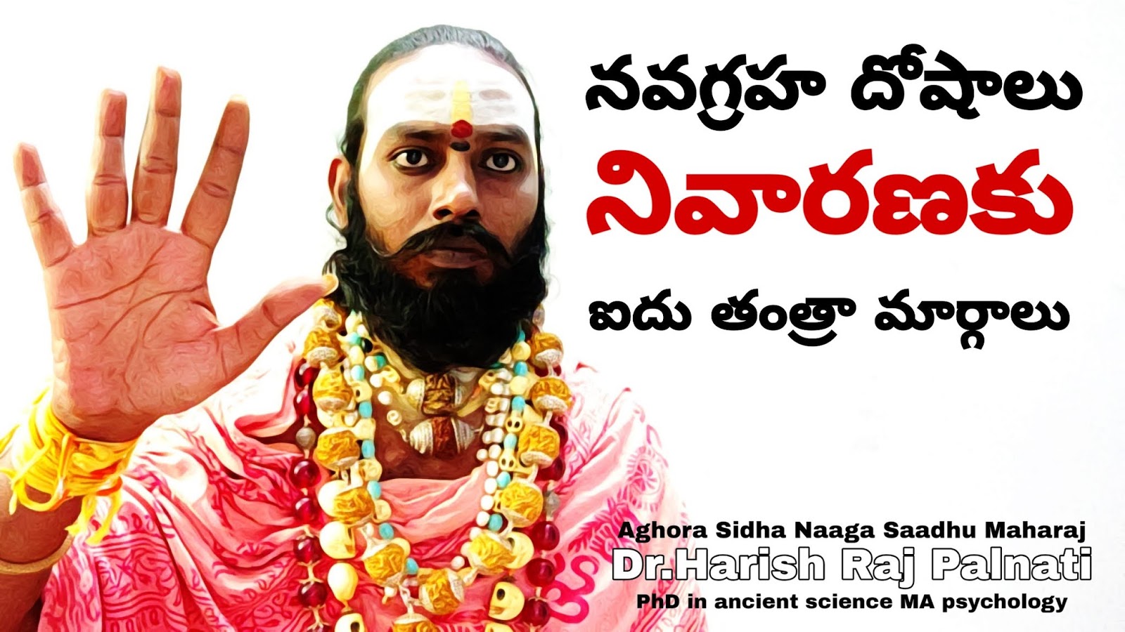 Shivoham Guruji Dr.Harish Raj Palnati Shivoham at 5000 pooja items by ...