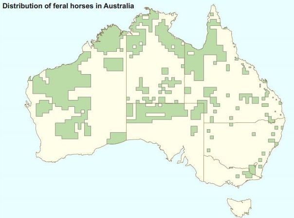 EMAW in AUS: Brumbies & Bureaucracy: Wild Horses in Australia & the U.S.
