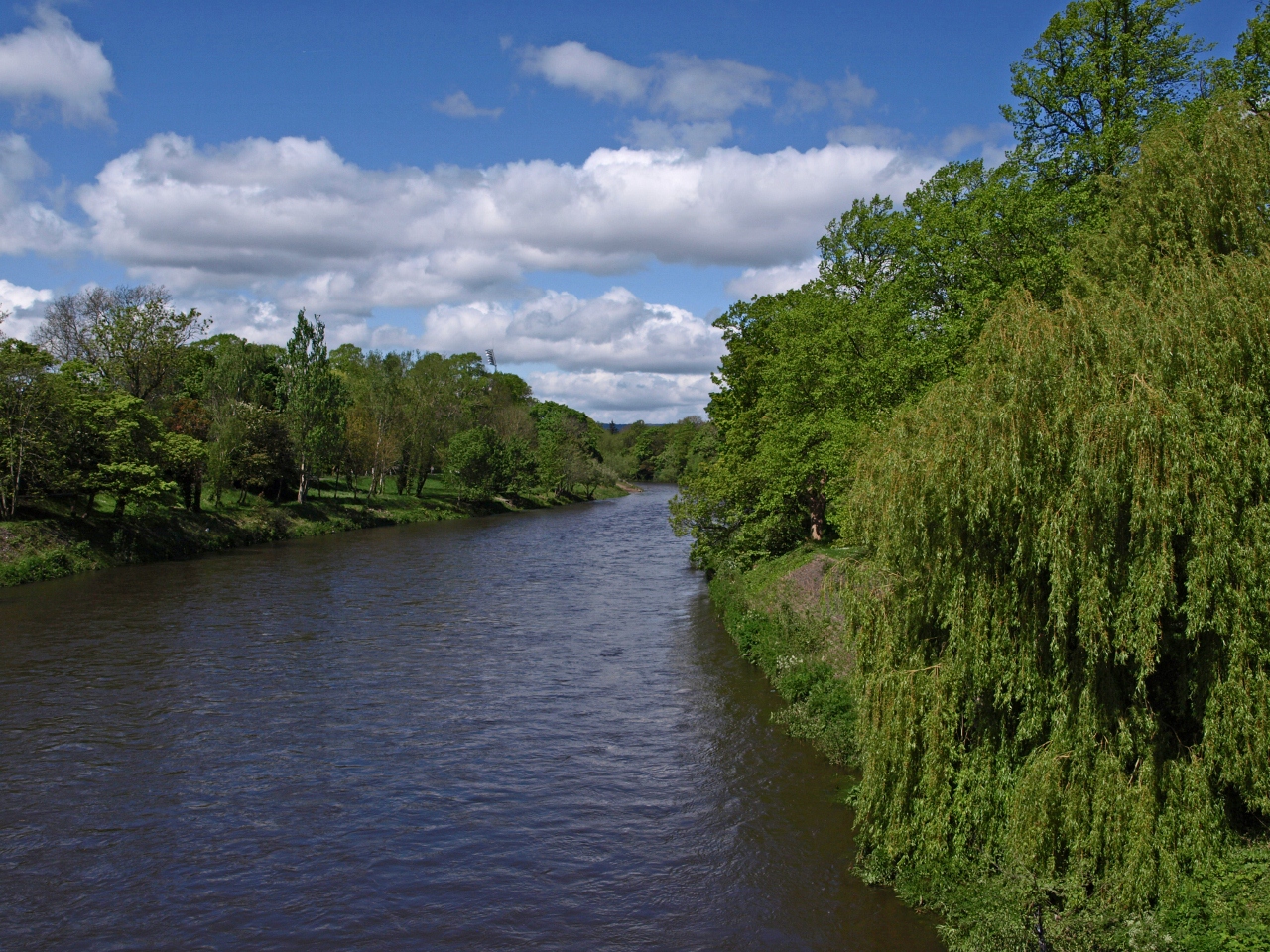 Prufrock's Dilemma: Wales Diary, Art and the Aquabus