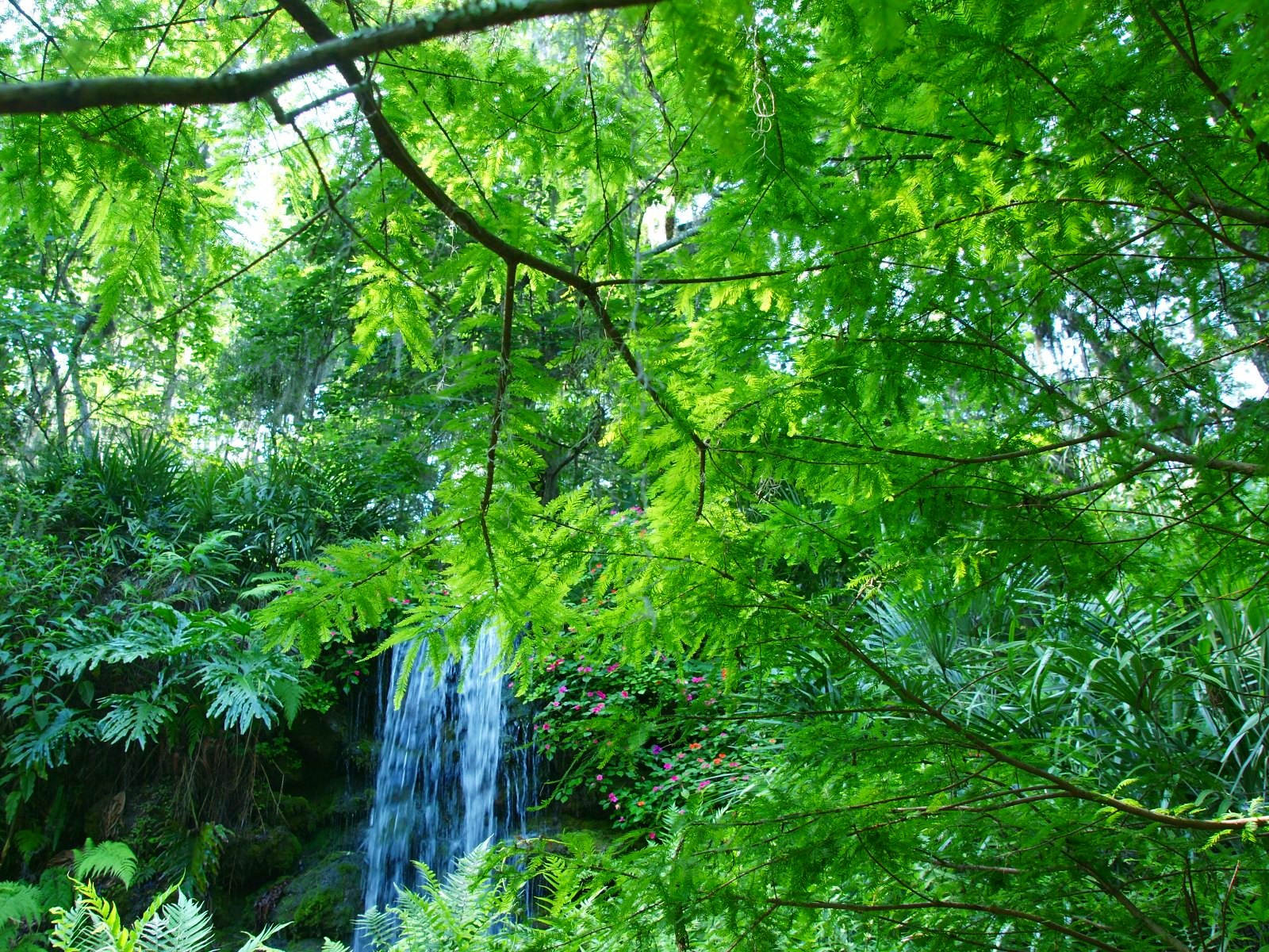 Green Forest and waterfall Scenery | Wallpaper ME