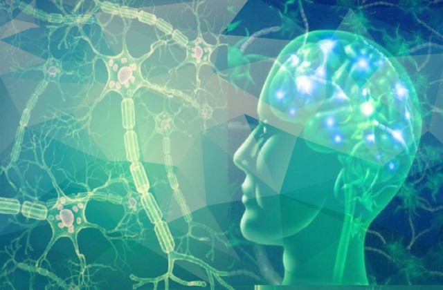 Multiple Sclerosis: Symptoms, Causes, Diagnosis and Treatment - How to ...