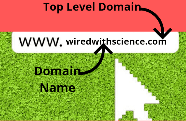 How does the Internet work (Step-by-Step case study) - Wired with Science