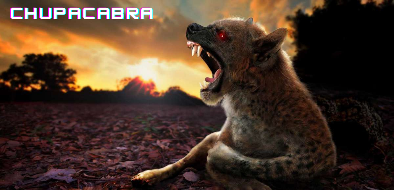 chupacabra: what does a chupacabra look like