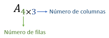 Matemática con Argos: ELEMENTOS Y TIPOS DE MATRICES