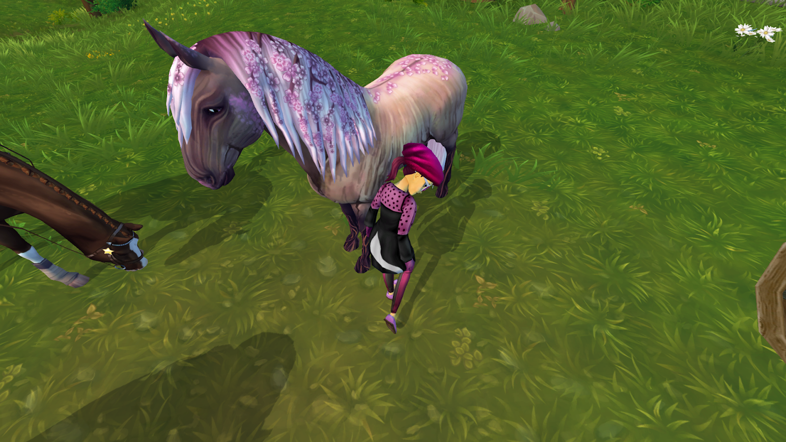 Magical Jorvik Wild Horses are Here! Pictures and info!