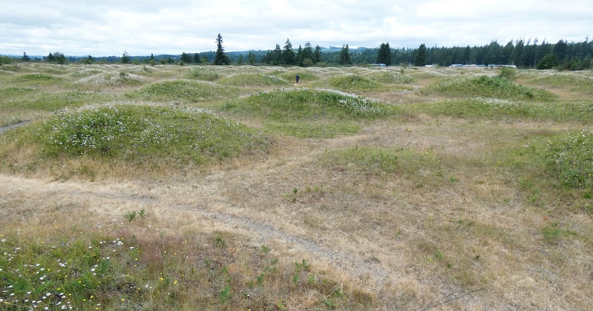 Geotripper: Burial Mounds of the Kings of the Rohirrim? Got a Better ...