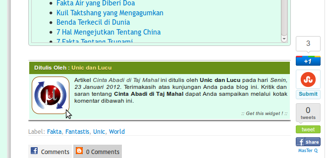 cara membuat profil admin tampil di blognya - luckys0n