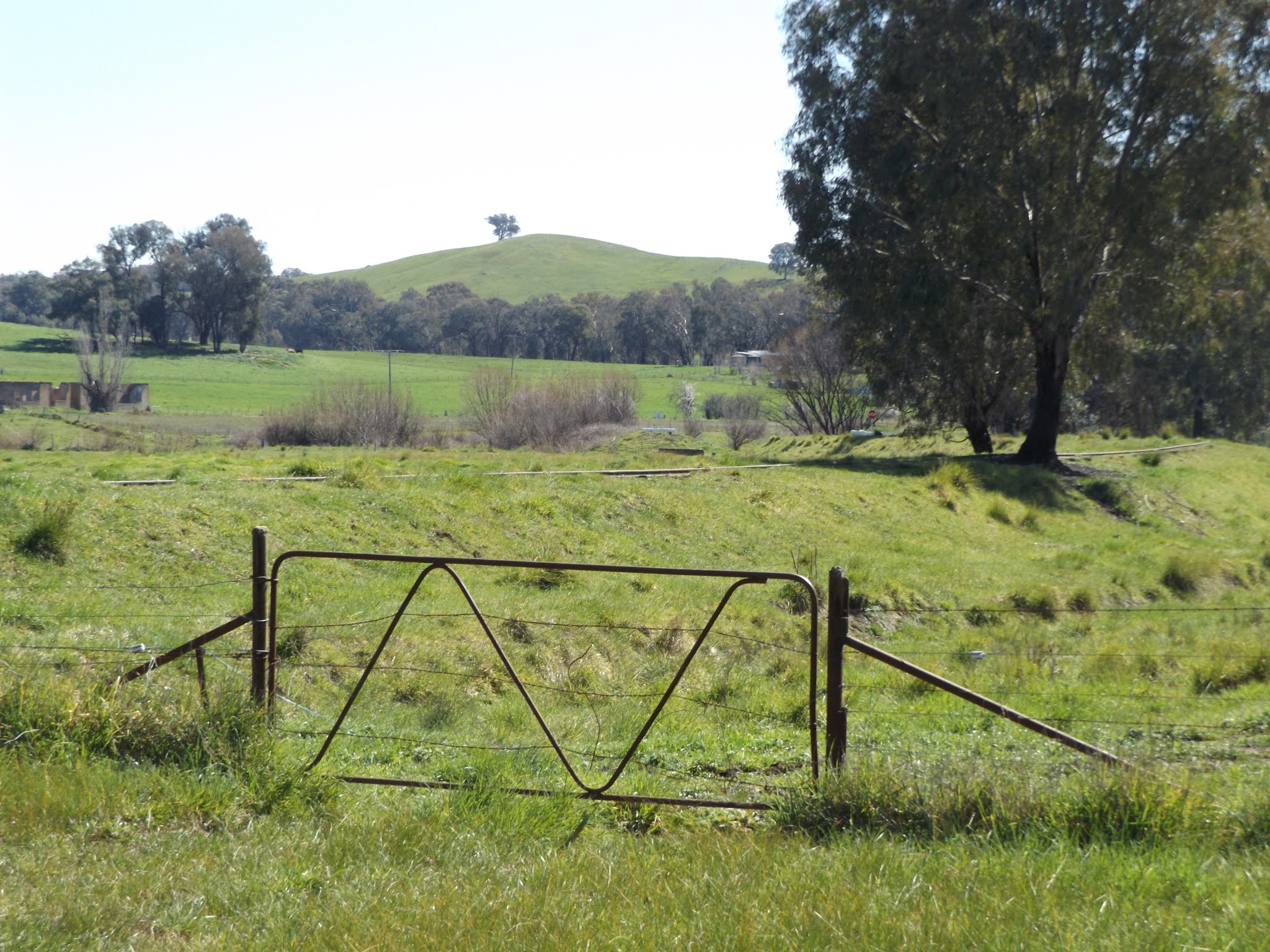 Building Wagga: A visit to Humula