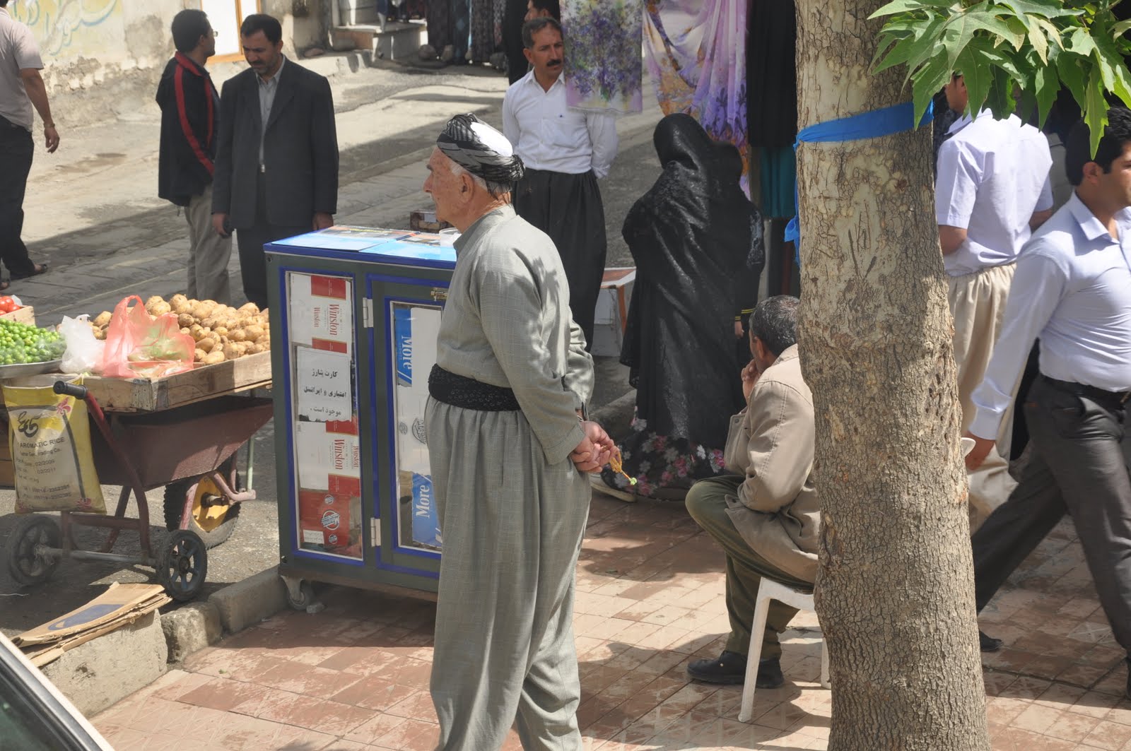 The Olive Journey: A stopover in Kamyaran - Kurdistan, Iran