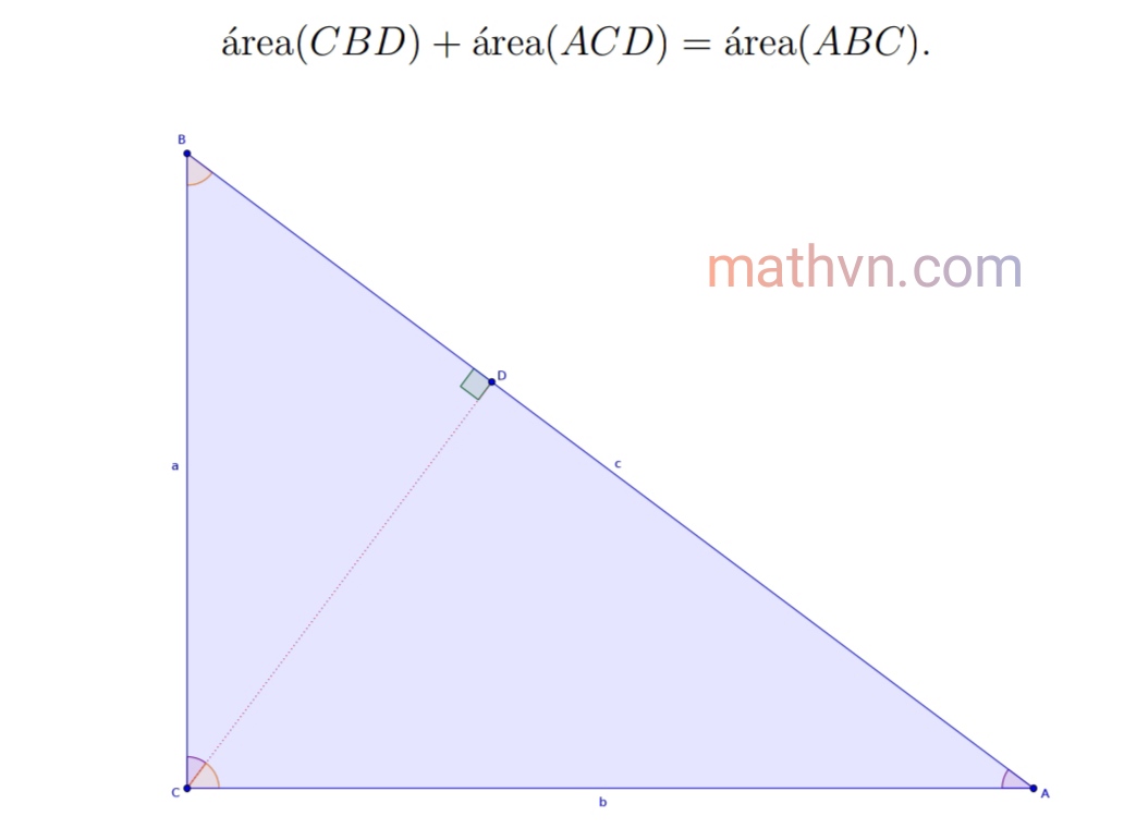 Einstein đã chứng minh định lí Pitago như thế nào? - Toán Học Việt Nam