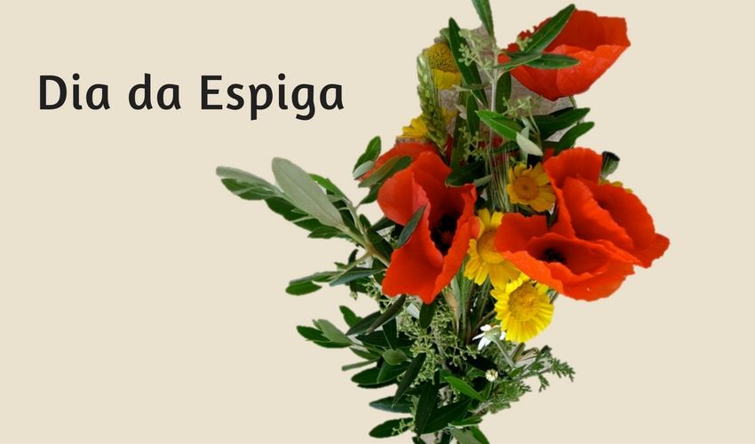 Novelo de Arte: Hoje Celebra-se o Dia da Espiga ... conheça o ...