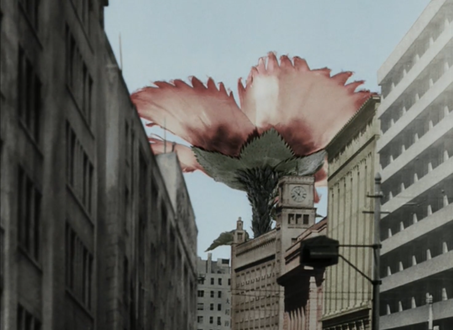 Godzilla Island: Monster Profile: Juran