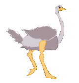 Animation Bundle: Animated Ostrich See ANimated and Gif Images of ...