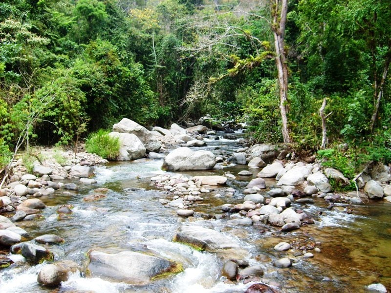 travel guillen: Sierra de Perijá