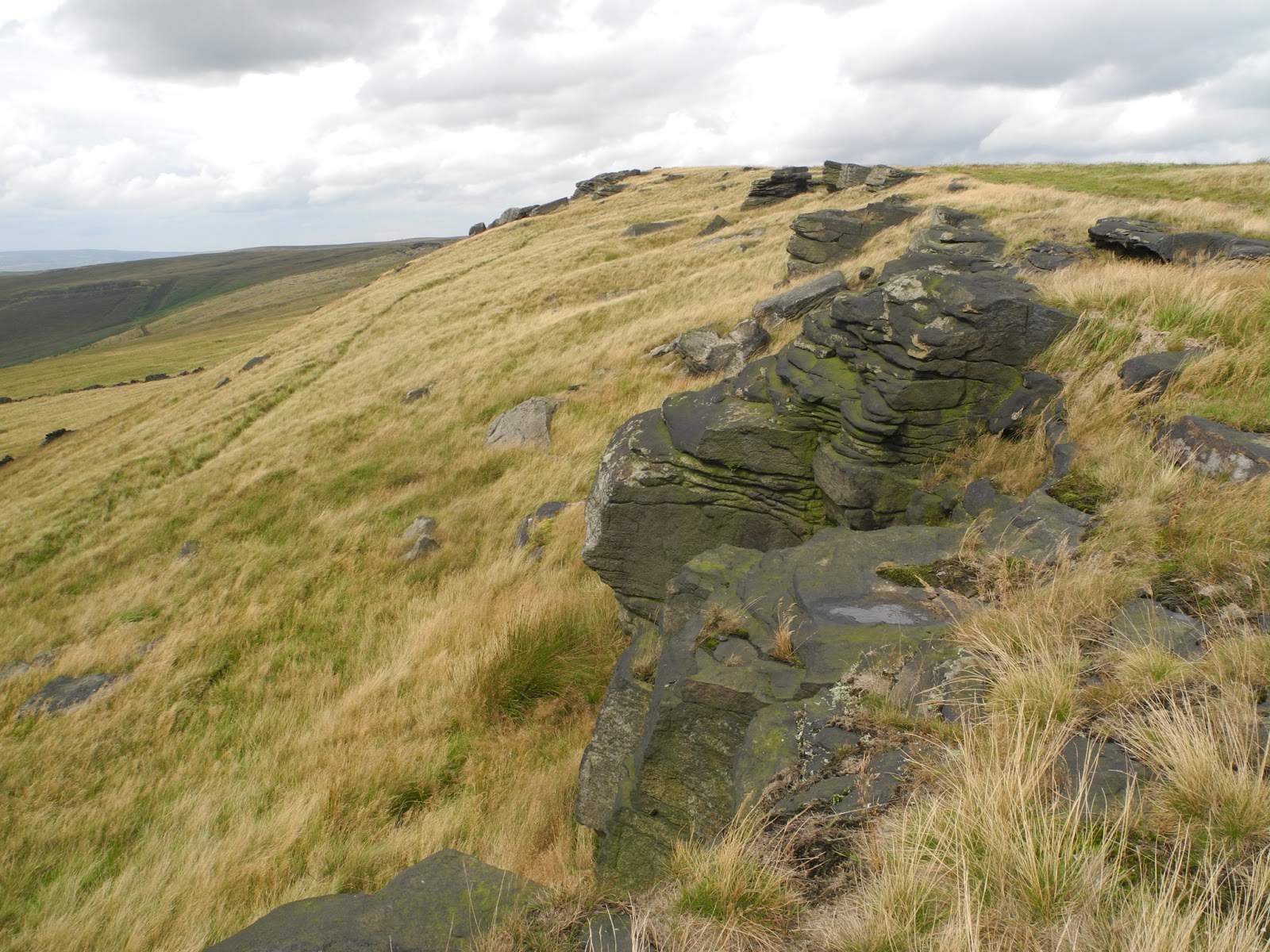 South-West Yorkshire (VC63) Botany Group: Black Moss Reservoir