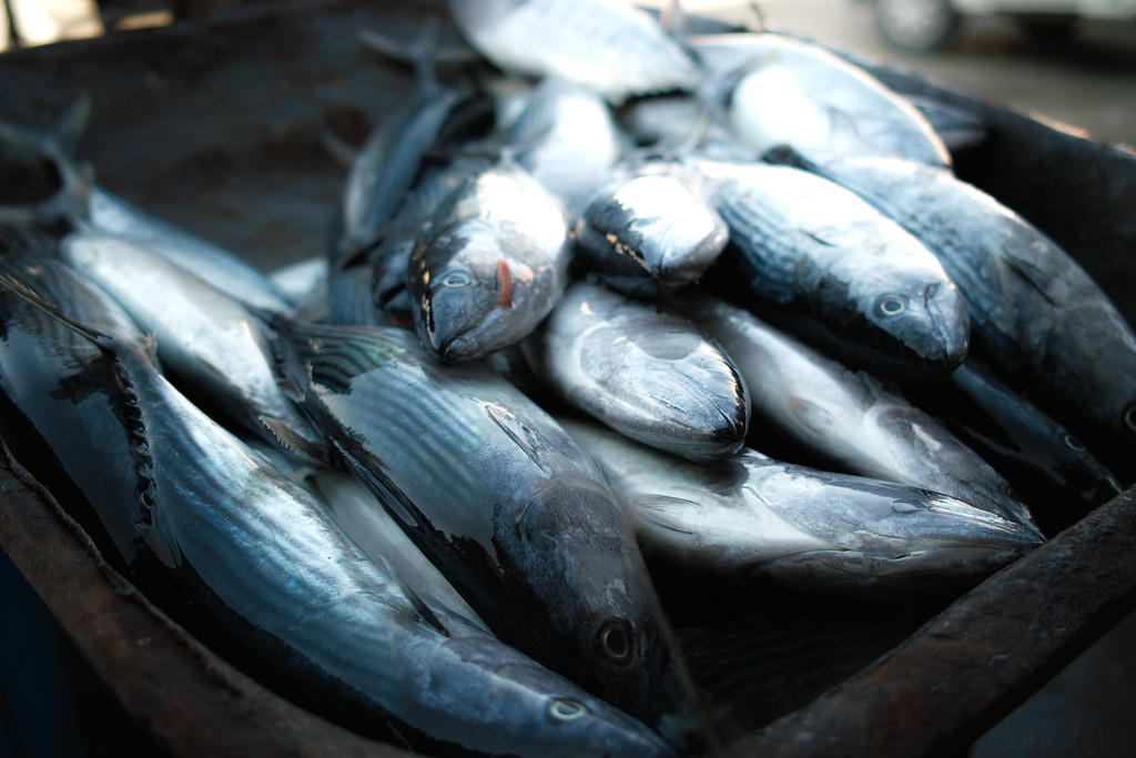 MotoJournalism: From Estonia With Love - Part Two