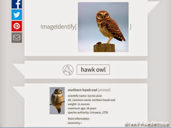 Site identifica imagens que você envia automaticamente