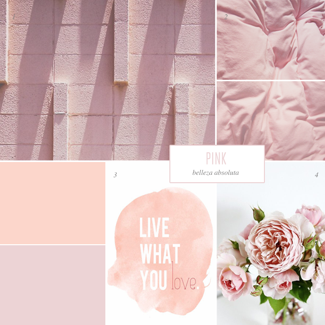 Harmony and design: MOODBOARD: PINK