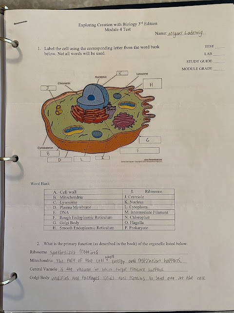 Homeschool Happenings: Apologia Biology