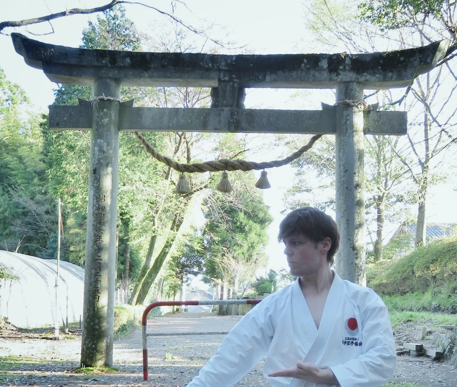 André Bertel's Karate-Do: Back to white belt