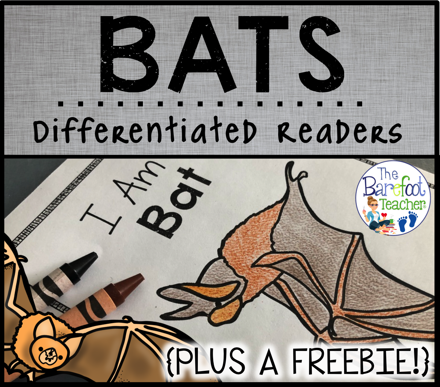Bats - Nocturnal Animals Differentiated Readers {Plus a FREEBIE!} | The ...