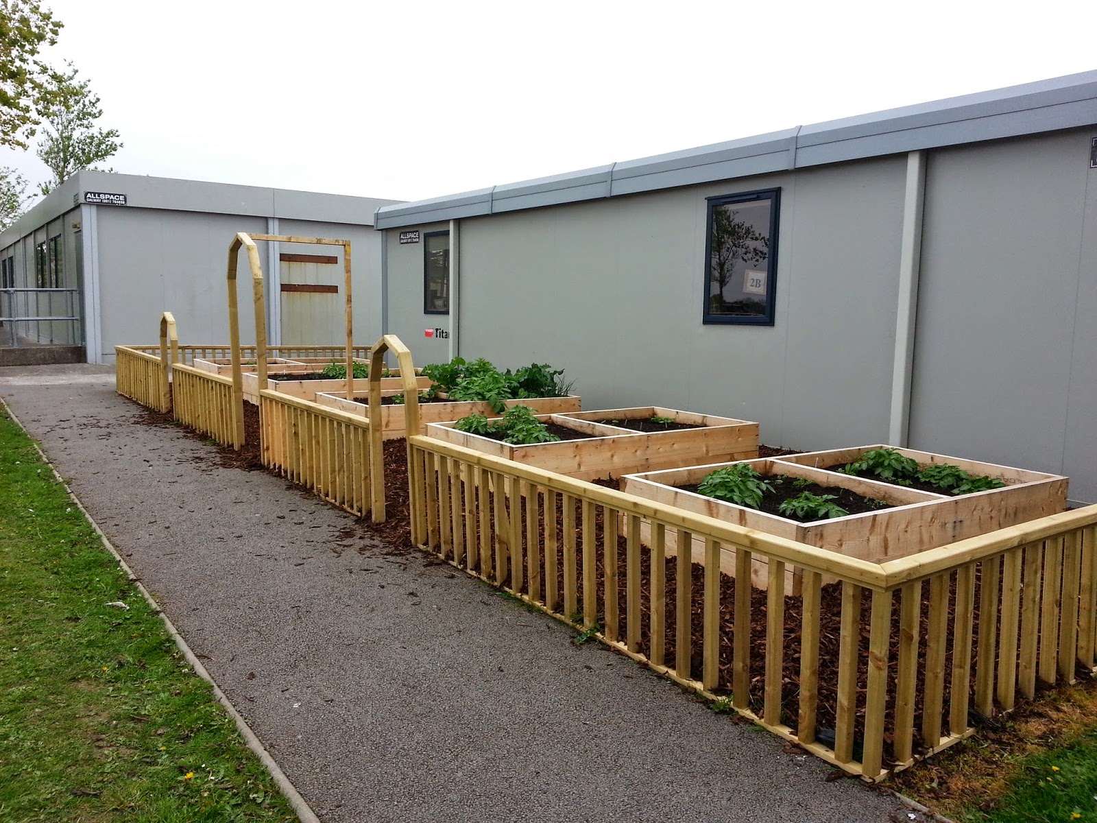 Science Projects: Class garden