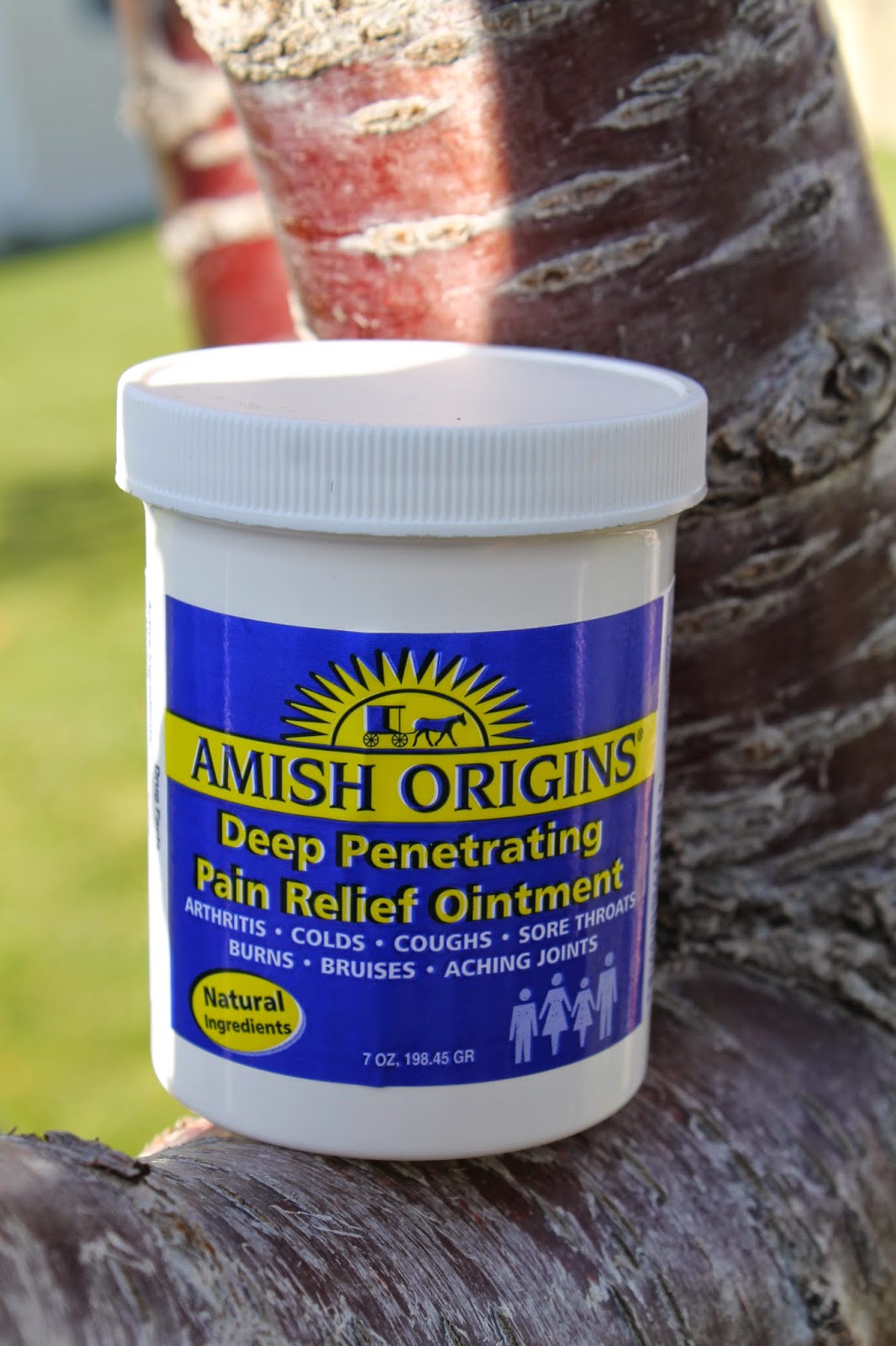 Amish Origins