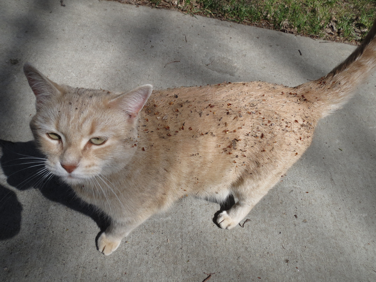 Gerald Saul: May 2013