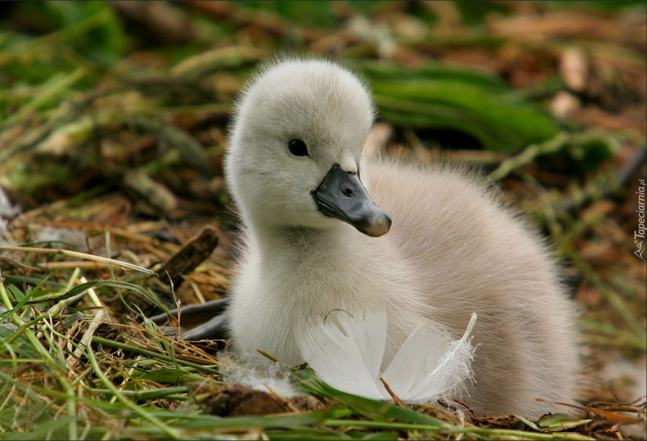 Nasze przedszkole: ZADANIA 8