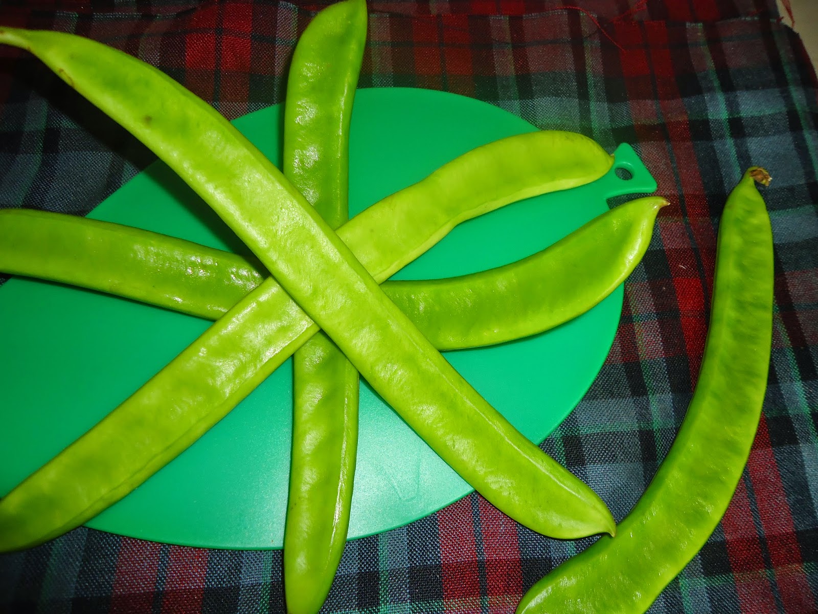 Kusuma's Abhiruchi: Tamba Kayala Kura