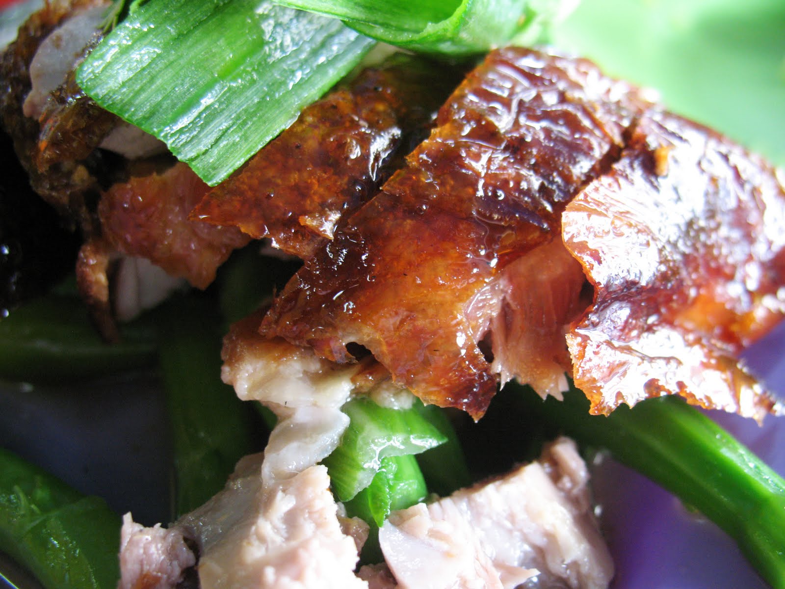 Nostalgic Memories: Peking Roasted Duck and Hong Kong Roasted Goose