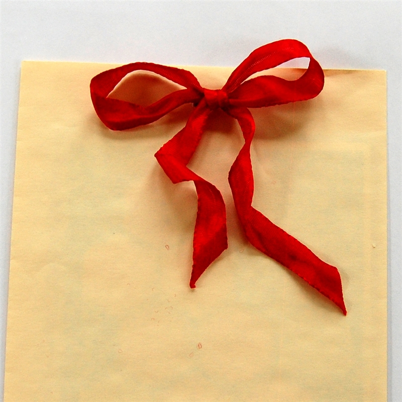 Capadia Designs: Quick Custom Gift Bag